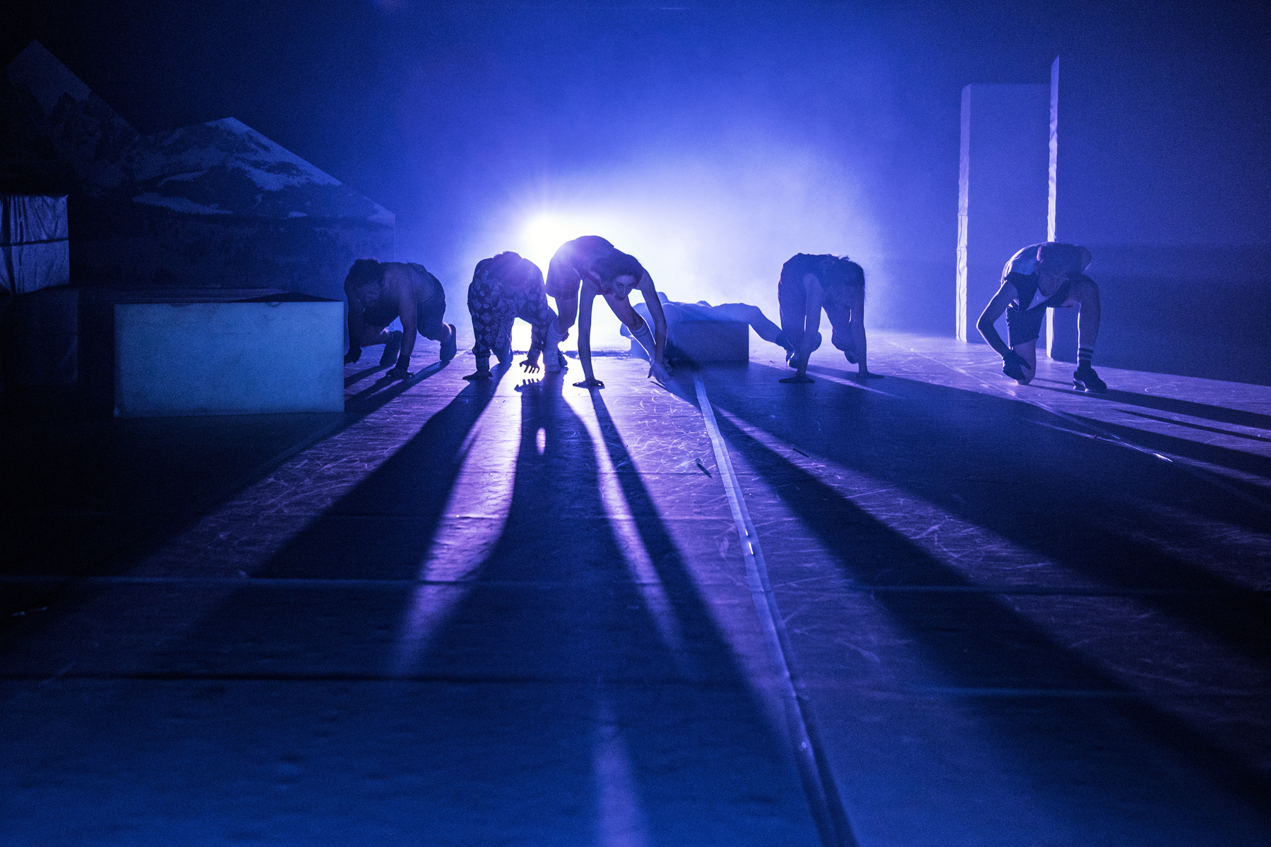 The dogs - Athens Epidaurus Festival